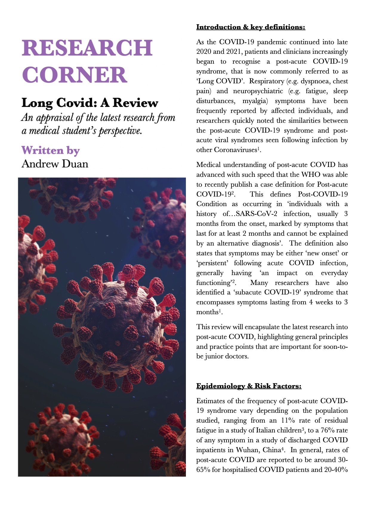 Research Corner – The Auricle